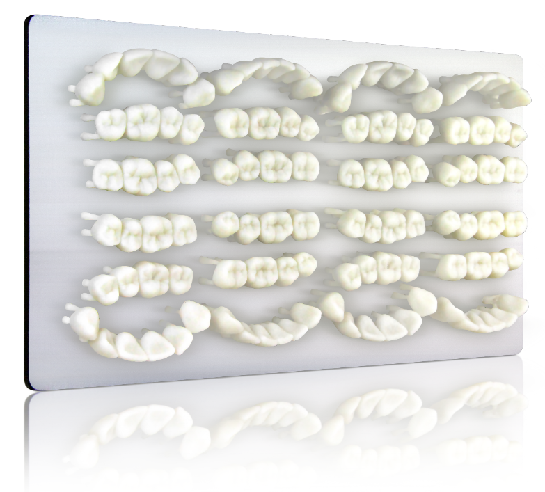 Envision One cDLM Dental – Navtech Practice Solutions